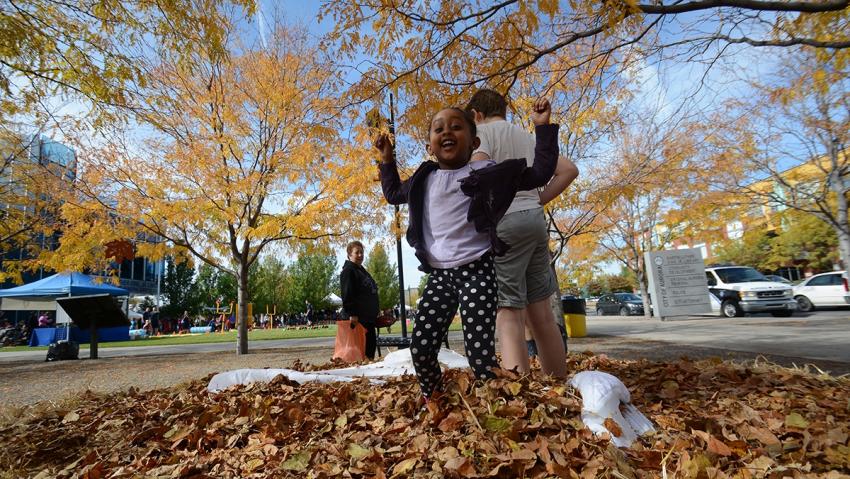 Things To Do This Weekend In Aurora, Colorado | Visit Aurora