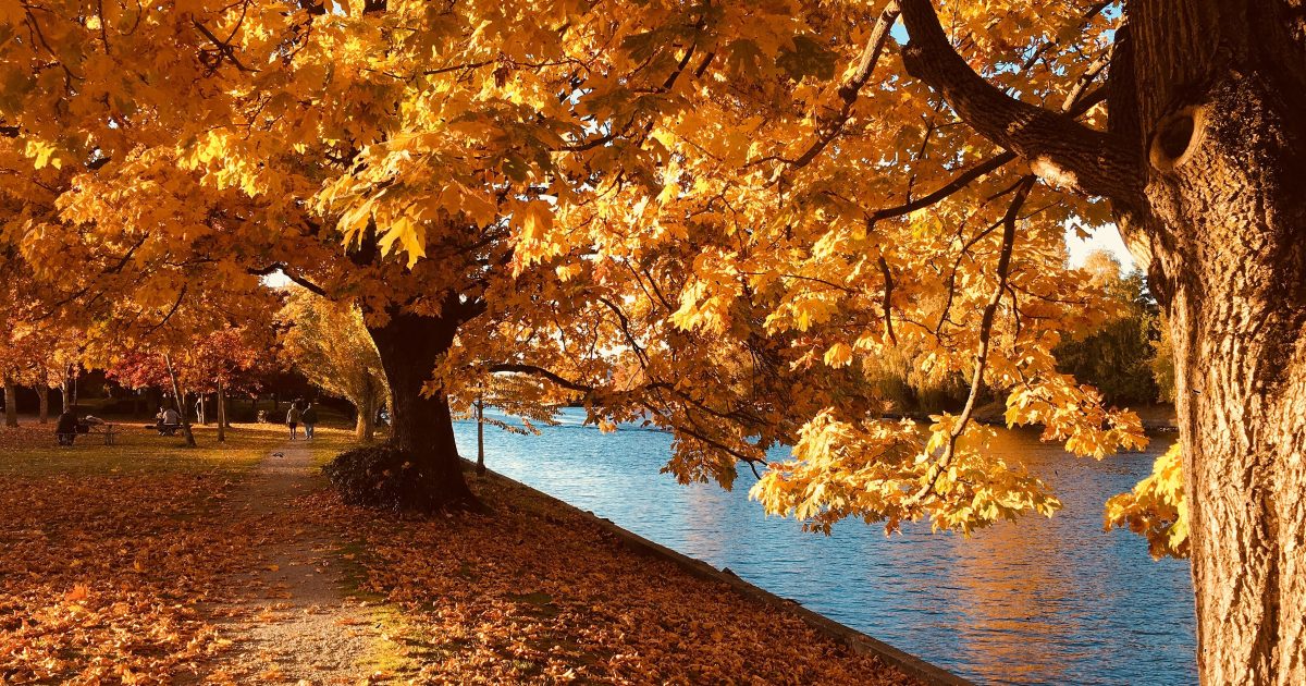Fall Foliage Trails in Aurora | Visit Aurora